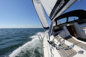 Wild Scotland - Boat Trips in Scotland