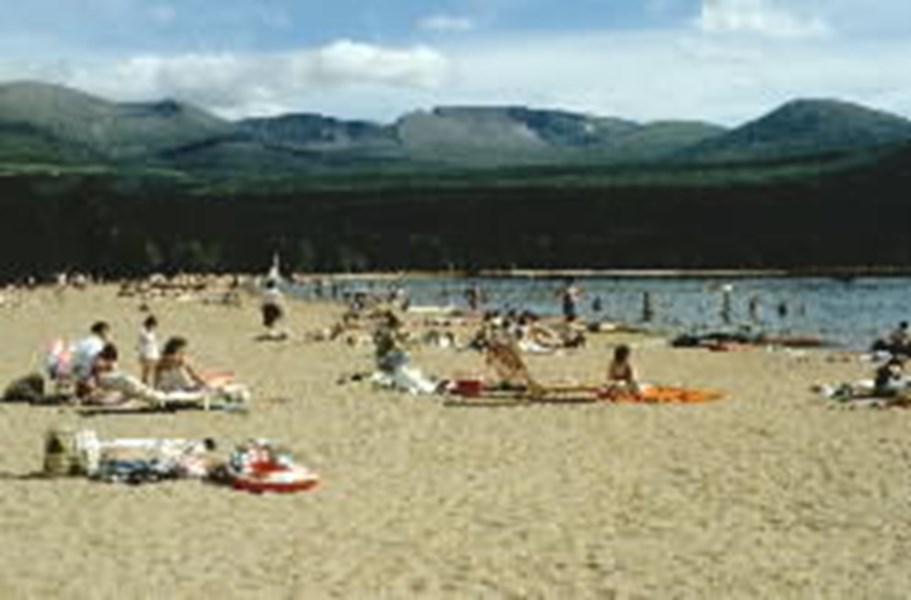 Glenmore Forest Park - Wild Scotland Member